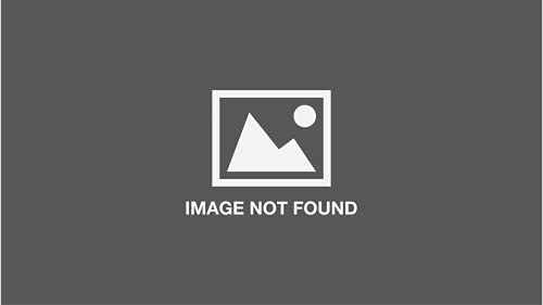 Little Learners Bingo Was His Name! Finger Puppet Book｜mi:te[ミーテ]