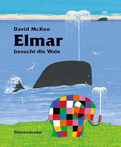 Elmar besucht die Wale｜mi:te[ミーテ]