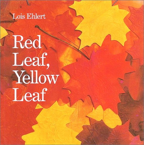 RED LEAF,YELLOW LEAF｜mi:te[ミーテ]
