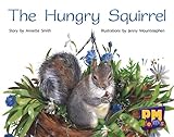 The Hungry Squirrel｜mi:te[ミーテ]