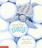 One Tiny Turtle｜mi:te[ミーテ]