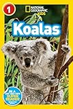 National Geographic Readers: Koalas｜mi:te[ミーテ]