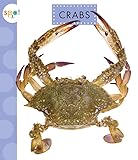 Crabs (Spot Ocean Animals)｜mi:te[ミーテ]